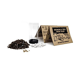 Giant Sequoia | Tree Seed Grow Kit | The Jonsteen Company
