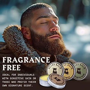 Striking Viking Beard Balm for Men - Leave-In Beard Conditioner with Naturally Derived Butter, Argan & Jojoba Oils, Citrus Vanilla Sandalwood Cedarwood Scents, 1 Ounce (Pack of 4) - Mustache Wax