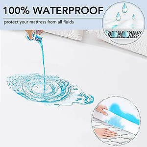 Full Size Mattress Protector 2 Pack Waterproof Mattress Cover Soft Breathable Noiseless Full Mattress Pad Cover Quilted Fitted with Deep Pocket Bed Covers for Pets Kids Adults Full 54"x 75"