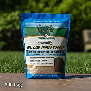 Jonathan Green (11970) Blue Panther Kentucky Bluegrass Grass Seed - Cool Season Lawn Seed (3 lb)