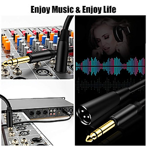 belipro 1/4 Inch TRS to XLR Cable 10Ft 2pack, 6.35mm Male to XLR 3 pin Male Balanced Cable,for Microphone, Audio Mixer, Speaker, Studio and More