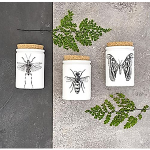 Skeem Design Sea Salt Citronella Candle Soy Wax Made in USA 90 Hour Burn Time 12 oz