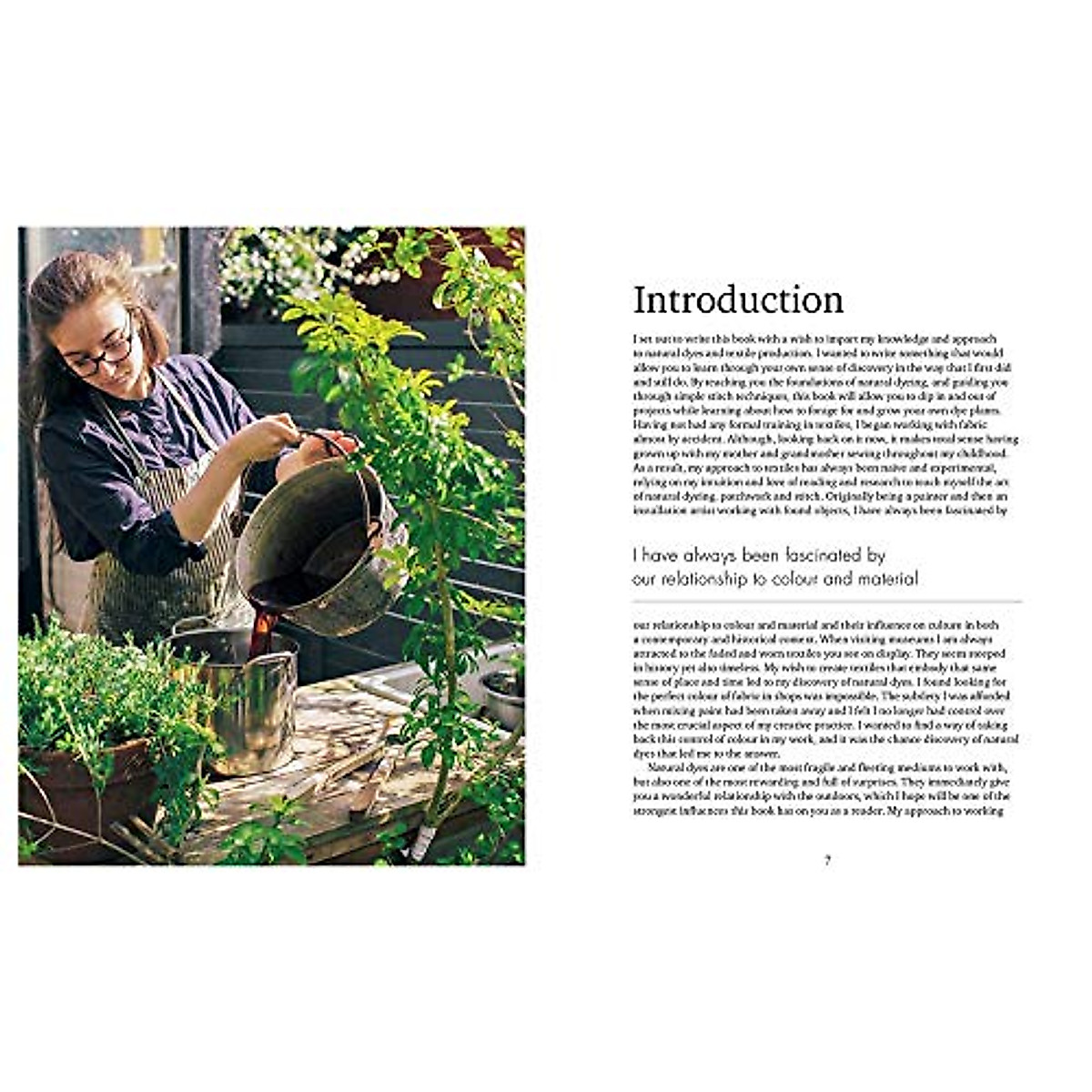 The Wild Dyer: A Maker's Guide to Natural Dyes with Projects to Create and Stitch