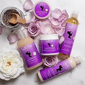 Camille Rose Lavender Fresh Cleanse, Detangling and Moisturizing Shampoo, with Apple Cider and Lavender Oil, 8 oz