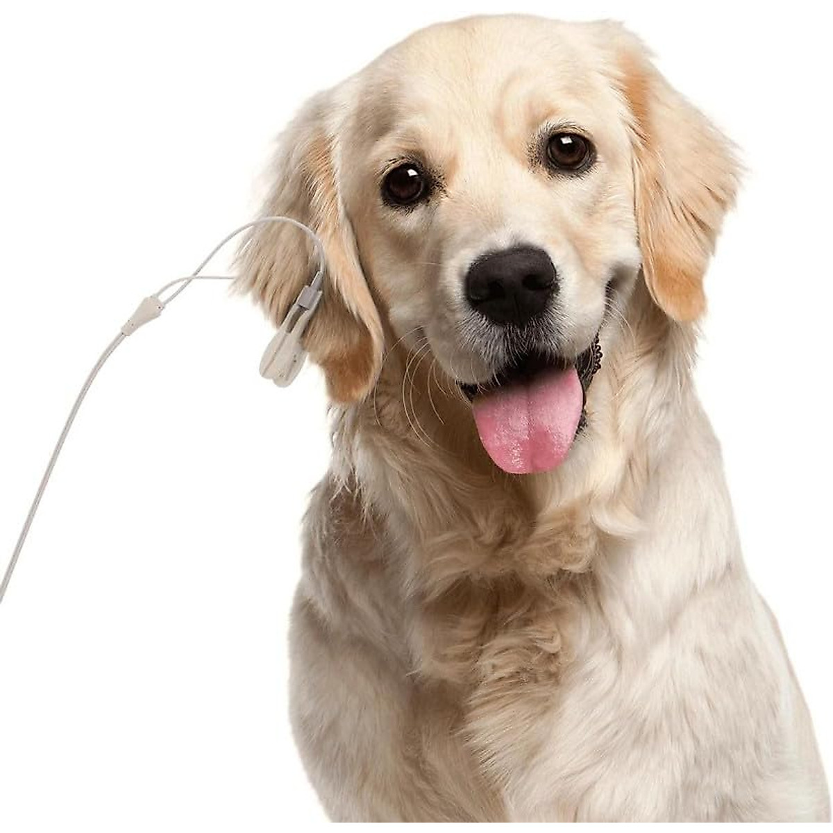 Cat/Dog/Animal Automatic Blood Pressure Monitor CONTEC08A-VET Electronic Sphygmomanometer Tonometer SPO2 Tongue Probe