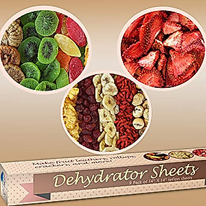 Chuzy Chef Set of 9 Dehydrator Sheets - Baking Mat Teflon Dehydrator Sheet - 14'' X 14'' Food Dehydrator Tray Liners Non Stick Sheets Baking Mat Food Dryer Sheet For Excalibur