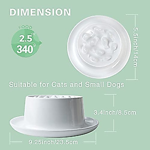 Raised Slow Feeder Cat Bowl, Fish Pool Design Elevated Slow Feeder Dog Bowls, Fun Interactive Bloat Stop Cat Slow Feeder Dry Food, Reduces Neck Burden Slow Down Eating Anti Vomiting Non-Slip No Spill