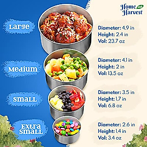 Home and Harvest Stainless Steel Lunch Box For Kids With Lids - Metal Snack Containers For Lunch Box 4 Pack