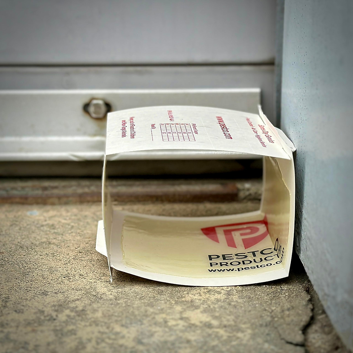 Glue Boards for Mice, Rats, Insects and Other Creepy Crawlers - 13 to A Pack - Traps Mice and Any Other Creepy Crawlers - Indoor Use for Homes and Businesses - Unscented Adhesive Bug Catcher