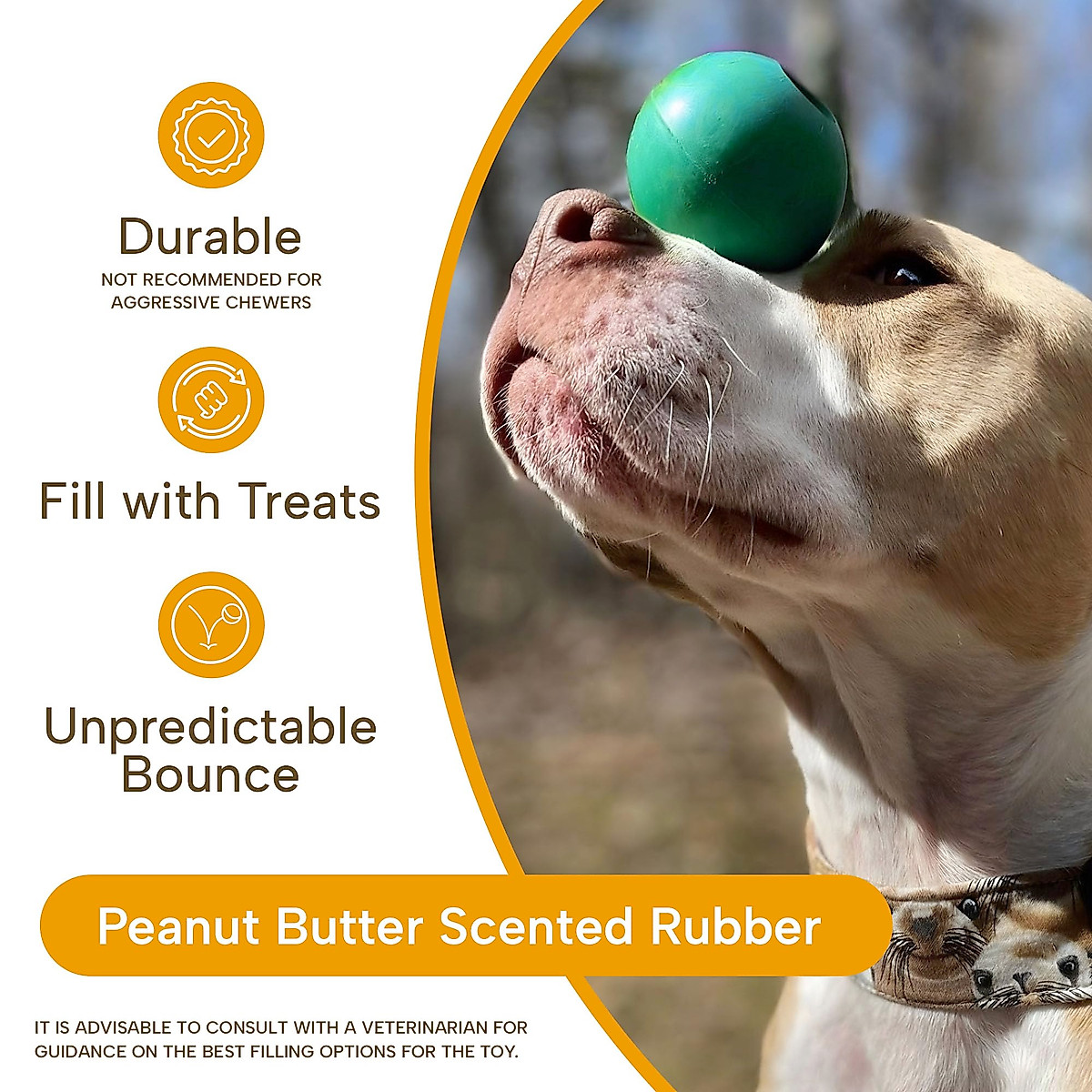 4BF Crazy Bounce, Natural Rubber Dog Ball, Dog Treat Dispenser, Durable & Interactive Dog Toys, Fillable Dog Fetch Ball, Peanut Butter-Scented Rubber Balls for Dogs, Aqua, Size L