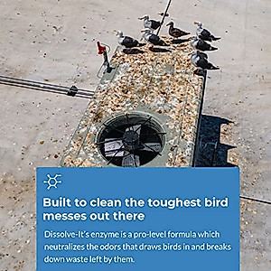 Bird Barrier Dissolve-It Max Enzyme Cleaner - Mix with Water – Bird Dropping Cleaner - Dissolves Waste – Treat Affected Areas Before Installing Bird Control Products - Bird Cage Cleaner - 1 Pint Makes 1/2 Gallon