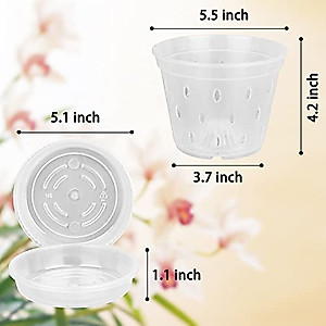 MFXIP 5.5 Inch 8 Pack Orchid Pots with Holes and Saucers, Clear Repotting, Plastic Plant Pot for Indoor Outdoor Flower Plants Gardening Pots