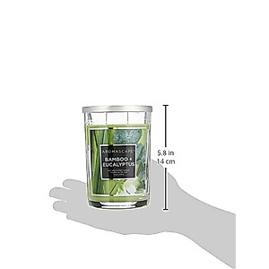 Aromascape PT41900 2-Wick Scented Jar Candle, Bamboo & Eucalyptus, 19-Ounce, Green