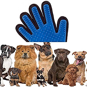 Pet Grooming Glove and Deshedding Brush - Perfect for Cat and Dog - Short and Long Hair - Gentle Pet Hair Remover Mitt - One-Size-Fits-All - 260 Soft Silicone Tips - Right Hand Product Name