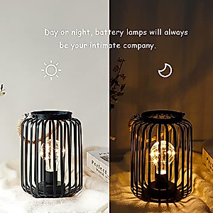 JHY DESIGN 7.5" High Metal Cage Decorative Lamp Battery Powered Cordless Warm White Light with LED Edison Style Bulb Great for Weddings Parties Patio Events Indoors Outdoors with Hemp Rope Handle