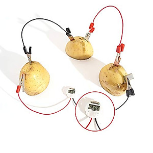 Skelang Fruit Battery Science Experiment Kit with Electronic Clock for DIY Home Teaching Toy , School Science Project, Education Subject