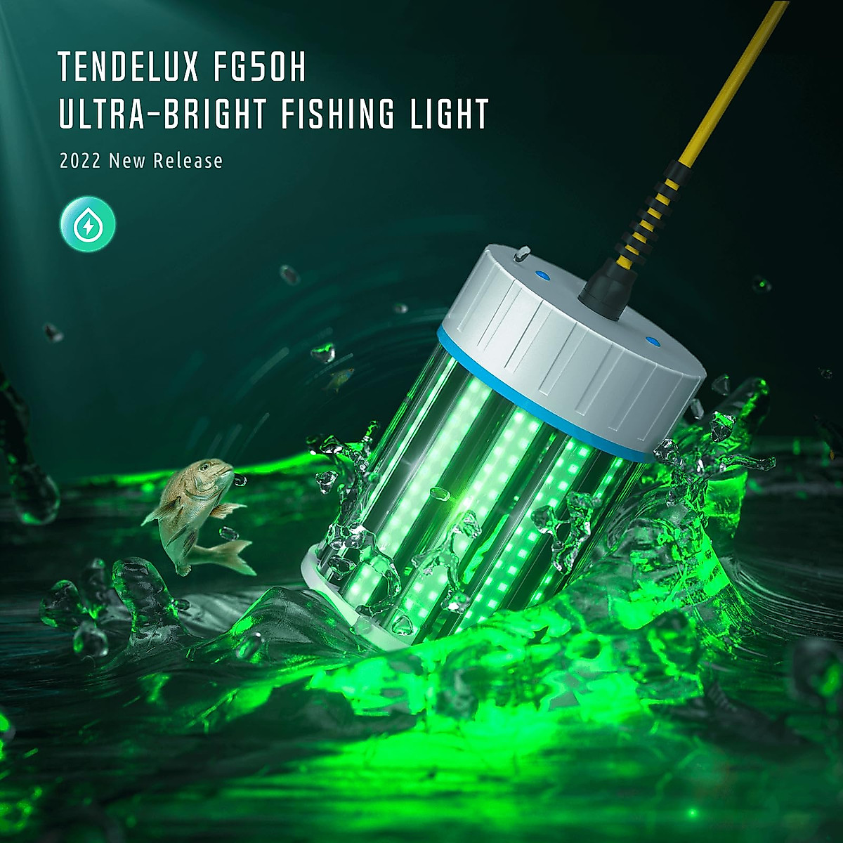 Tendelux Ultra-Bright Underwater Fishing Light, 110V & 12V Green LED Submersible Light Attractants for Docks, Boats or Kayaks, IP68 Rated for Fresh & Salt Water (30ft Cable)