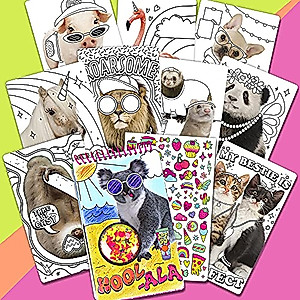 Fashion Angels Photo-real Panda Compact Sketch Portfolio, Sketch Book for Beginners, Animal Sketch Pad with Real Photos and Stickers For Kids 6 and Up