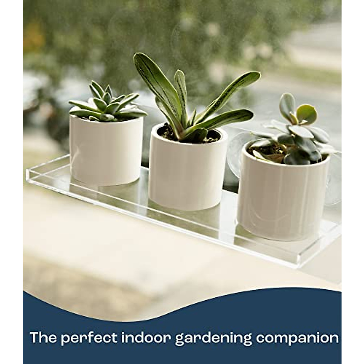 Window Shelf For Plants | EXTRA STURDY Loading-Bearing Brace with Powerful Suction Cup Shelf | Window Sill Extender For Plants | Herbs, Succulent, Indoor Plants, Acrylic Window Sill Extender