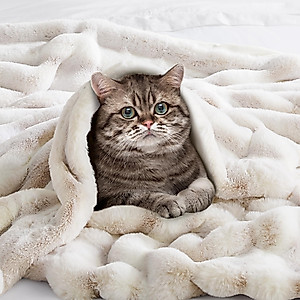 Hyde Lane Ultra Soft Plush Throw Blanket, Fuzzy Faux Rabbit Fur Throws, Luxury Cozy Fluffy Blankets for Sofa, Couch, Living Room Decor, Frost Fox, 50"x60"