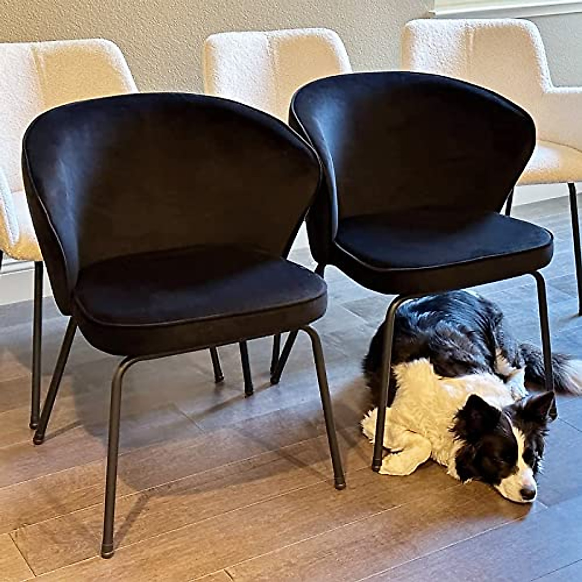 ONEVOG Black Velvet Dining Chair, Upholstered Chair with Upholstered and Wingback, Set of 2 Accent Chairs for Kitchen, Dining Room, Living Room Chairs