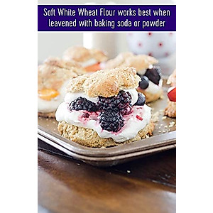 Soft White Wheat Berries | 5 LBS | Family Farmed in Washington State | 100% Desiccant Free | Non-GMO Project Verified | 100% Non-Irradiated | Kosher | Field Traced | Burlap Bag