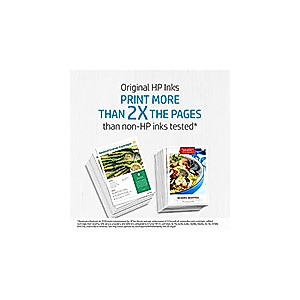 HP 62 | 2 Ink Cartridges | Black | Works with HP ENVY 5500 Series, 5600 Series, 7600 Series, HP OfficeJet 200, 250, 258, 5700 Series, 8040 | C2P04AN