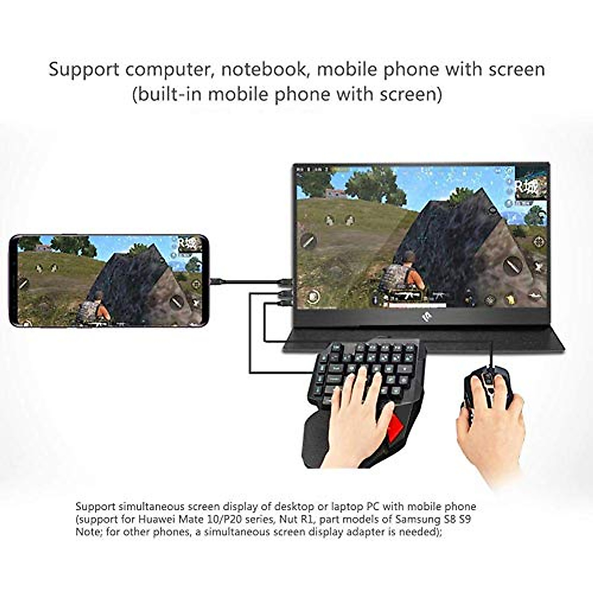 EVER LUSTRE 13.3 Inch Portable Monitor for Laptop PC,Portable Gaming Monitor for PS3 PS4 Xbox Switch with HDMI USB C (Monitor)