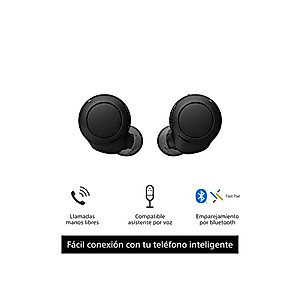 Sony WF-C500 Truly Wireless In-Ear Bluetooth Earbud Headphones with Mic - Black (Renewed)