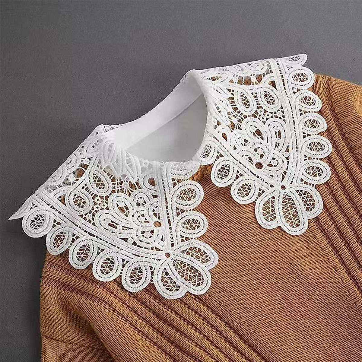 WENLOOY Retro Hollow Out Lace Floral False Collar Detachable Fake Collar for Women Girl C White