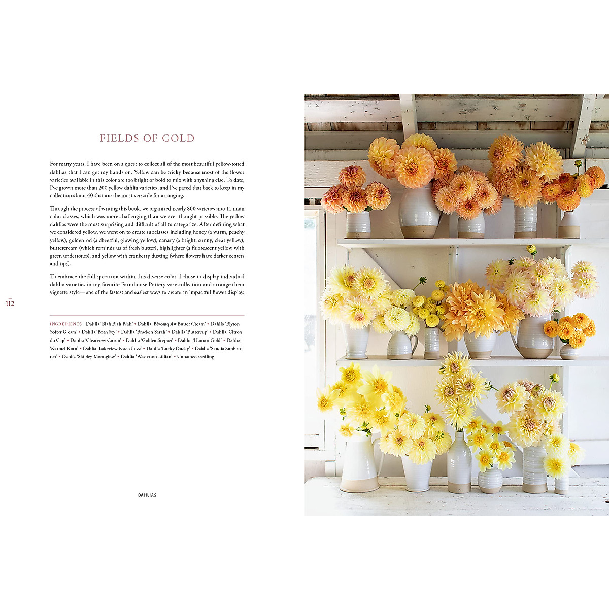 Floret Farm's Discovering Dahlias: A Guide to Growing and Arranging Magnificent Blooms (Floret Farms x Chronicle Books)