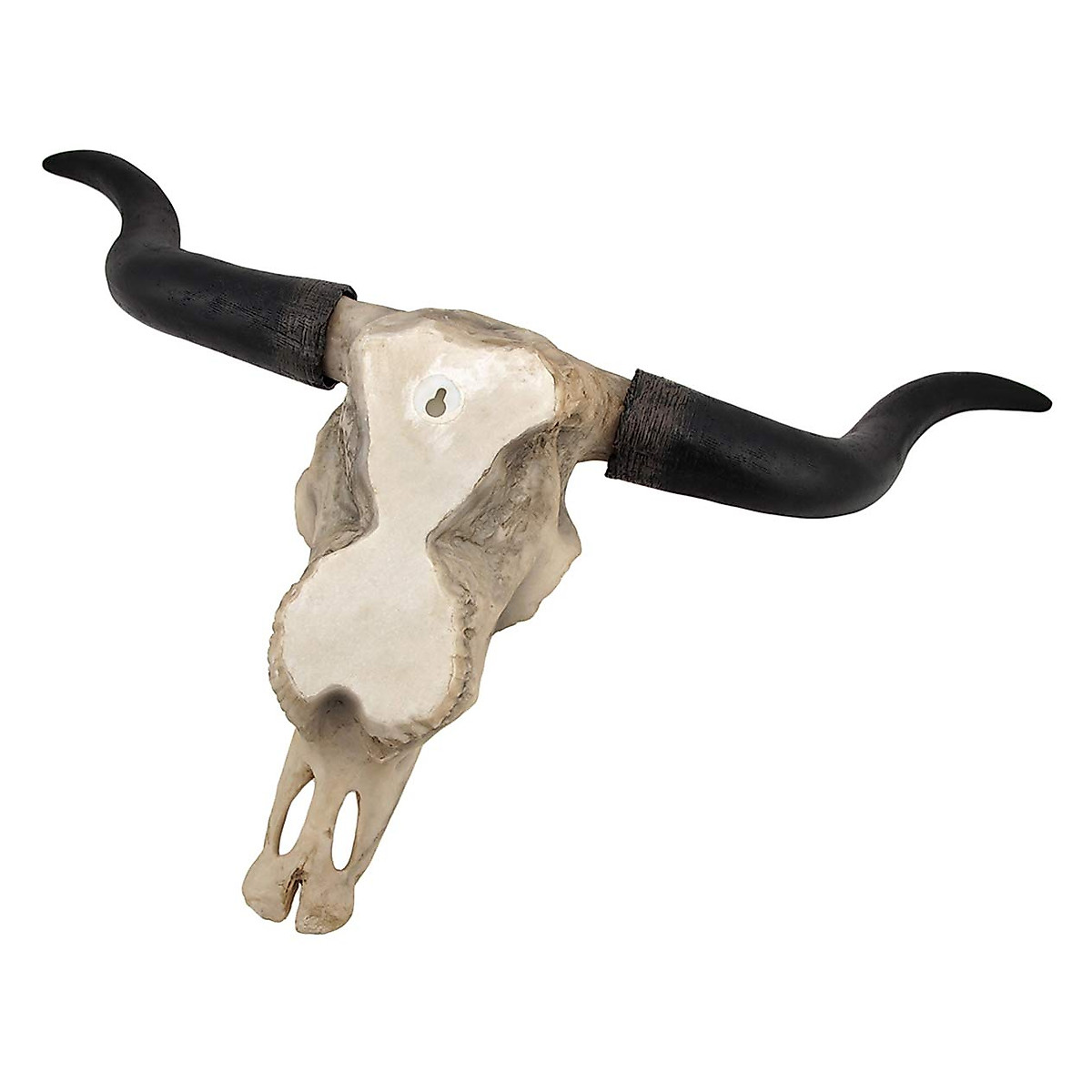Long Horn Cow Skull Wall Hanging Longhorn Steer
