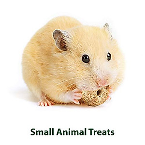 Kaytee Timothy Biscuits Baked Treat for Pet Guinea Pigs, Rabbits & Other Small Animals, Apple, 4 oz