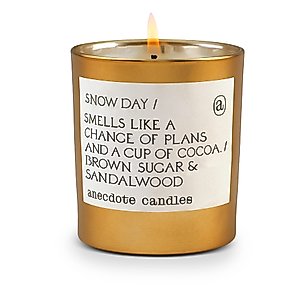 Anecdote Candles - Holiday Collection - Snow Day Tumbler Candle – Brown Sugar and Sandalwood – Coconut Soy Wax – Funny Non Toxic Scented Decorative Candles for Women Men and Home – 7.8 Ounces