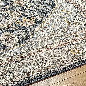 BoutiqueRugs Kouta Traditional Area Rug - Natural Gray - 9' x 12'2"