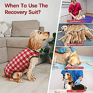 IDOMIK Recovery Suit for Dogs, Dog Onesie Surgery Recovery Shirt Abdominal Wound Surgical Clothes Post-Operative Vest Pet Surgery Wear, E-Collar Cone Alternative for Female Male