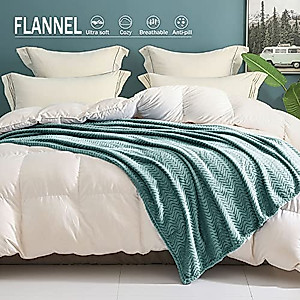 Exclusivo Mezcla Large Flannel Fleece Throw Blanket, Jacquard Weave Wave Pattern (50" x 70", Celadon) - Soft, Warm, Lightweight and Decorative