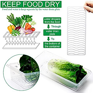 10 Pack Fruits Storage Organizer for Fridge with Lid and Removable Drain Plate 1.5 L Stackable Food Storage Produce Saver Container for Fridge to Keep Fruits Vegetables Meat Fish Fresh and Dry