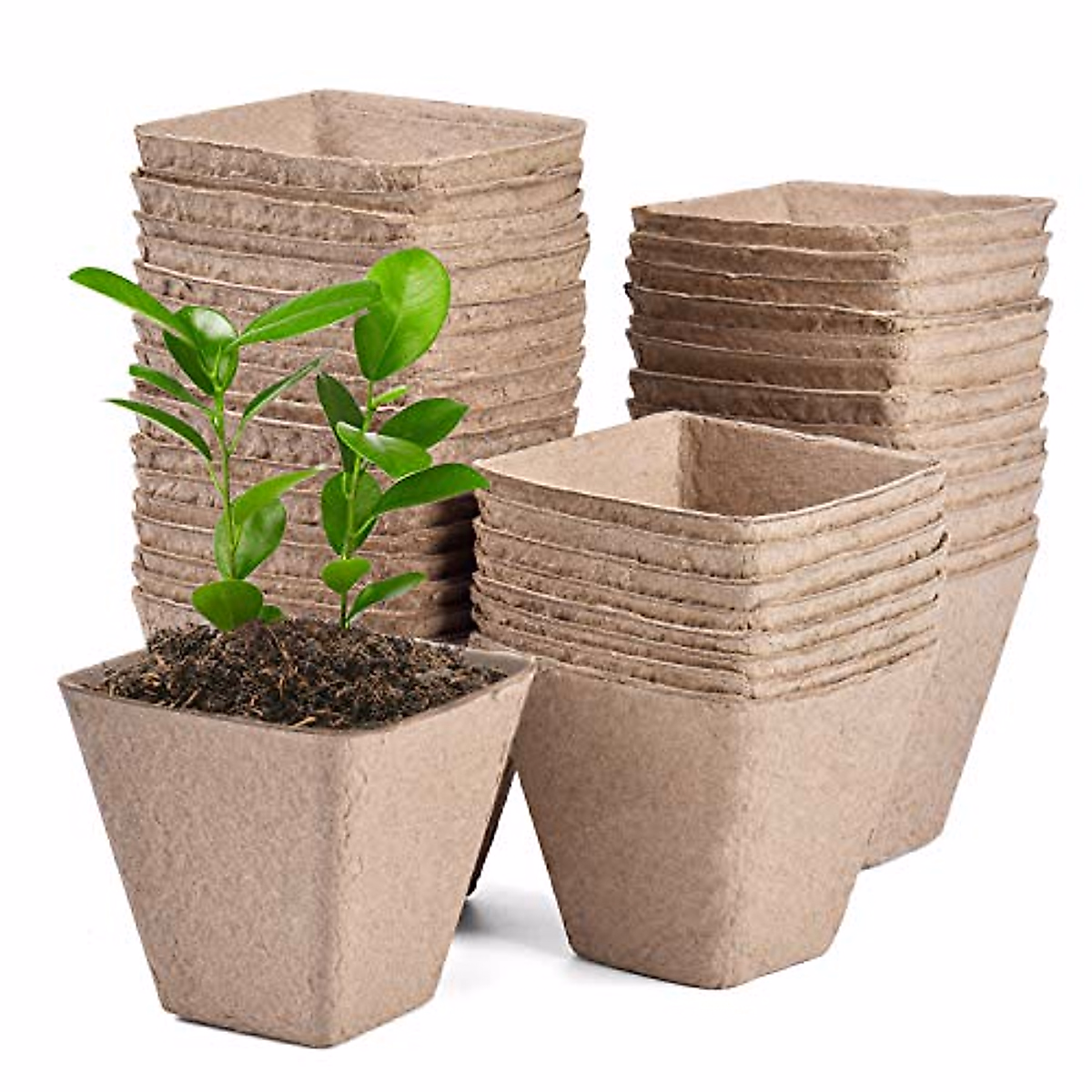 JOYSEUS 3.25" Seed Starter Pots, Organic Planting Peat Pots for Garden Seedling, 30 Pcs 100% Eco-Friendly and Biodegradable Seedling Pots for Seed Germination