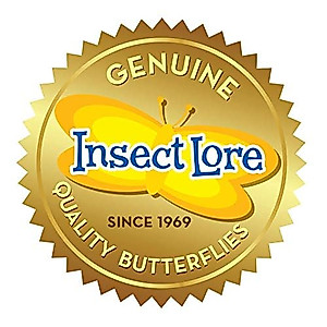 Butterfly Garden: Original Habitat and Two Live Cups of Caterpillars with STEM Butterfly Journal – Life Science & STEM Education – Butterfly Science Kit