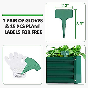 GROWNEER 4 x 3 x 1 Feet Green Metal Raised Garden Bed with 4 Pcs Garden Stakes, 1 Pair of Gloves and 15 Pcs Plant Labels, Elevated Planter Box for Vegetables, Fruits, Flowers, Herbs