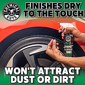 Chemical Guys - TVD11216 TVD11264 - Clear Liquid Extreme Shine Premium Sprayable Dressing and Protectant For Tires, Trim, Rubber and Plastic (16 oz)