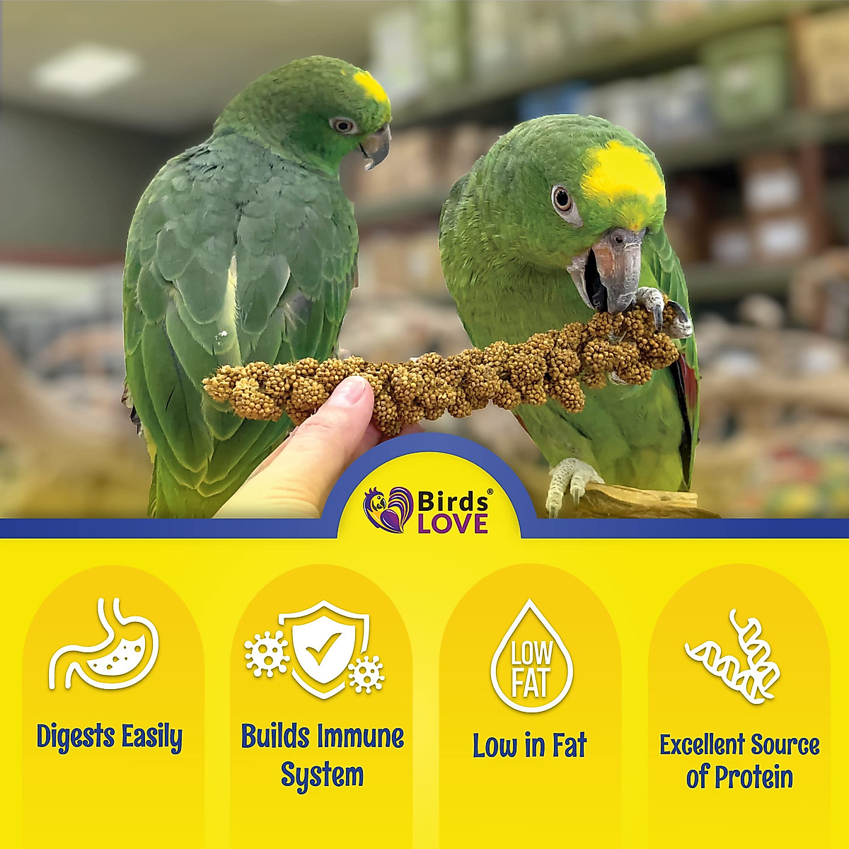 Birds LOVE Economy & Thin Special Spray Millet GMO-Free (No Stems Only Edible Tops) for Birds Cockatiel Lovebird Parakeet Finch Canary All Parrots Healthy Treat - 7oz