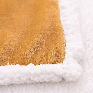 Pinecone Fleece Throw Blanket,Scenery Illustration of Hand Painted Pine Tree Branches and Sepia Cone Blanket Small Quilt,Warm Blanket(60x80,Brown Green)