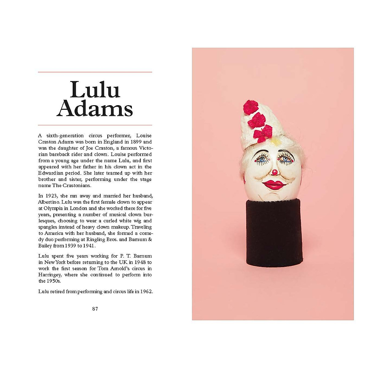 The Clown Egg Register: (Funny Book, Book About Clowns, Quirky Books)