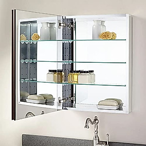 Signature Hardware 412581 Bernstein 20" W x 26-1/8" H Surface or Recess Mounted Aluminum Framed Single Door Medicine Cabinet