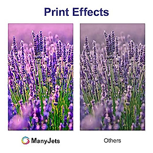 ManyJets LC3019XXL Compatible Ink Cartridge Replacement for Brother LC3019 LC3019XXL LC3017 Work with Brother MFC-J5330DW MFC-J6930DW MFC-J6530DW MFC-J5335DW MFC-J6730DW Printer (2C,2M,2Y,6-Pack)