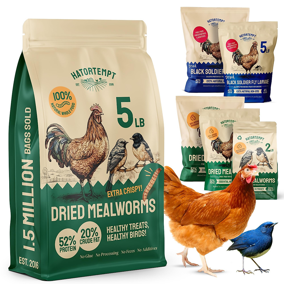 Hatortempt 5 lbs Non-GMO Dried Mealworms-High-Protein Mealworms for Wild Bird ,Chicken, Ducks,Fish,Reptile, Tortoise , Amphibian,Lizard