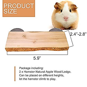 Chinchilla Wood Ledge 2Pcs Natural Wooden Shelf Standing Platform Chew Toys for Hamster Rat Guinea Pig Mouse Bird 2.6" x 5.9"