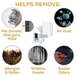 Beurer LR210 Air Purifier for Home, 3-Layer H13 True HEPA Filter System, 3 Fan Settings, Clean Ambient Air, Air Filter for Allergies & Pets, Cleaner with Sleep Mode & Timer